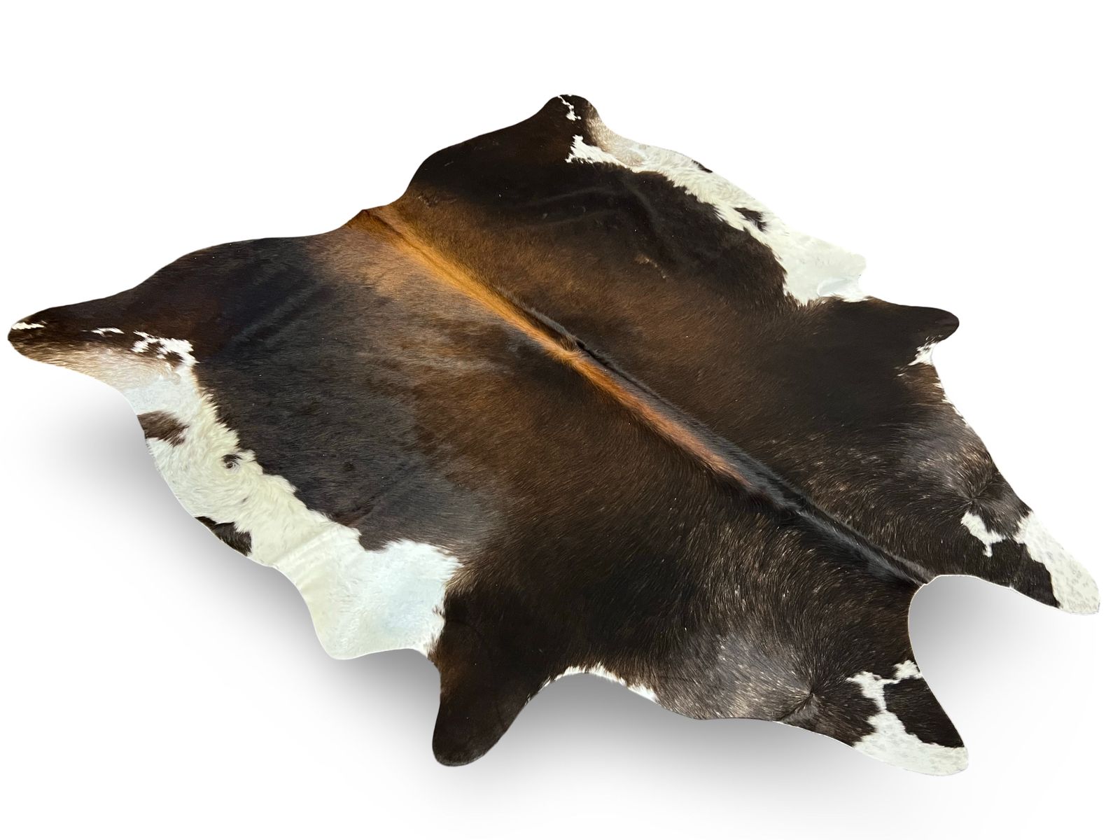 Nguni Cow Hide – Urban Nguni