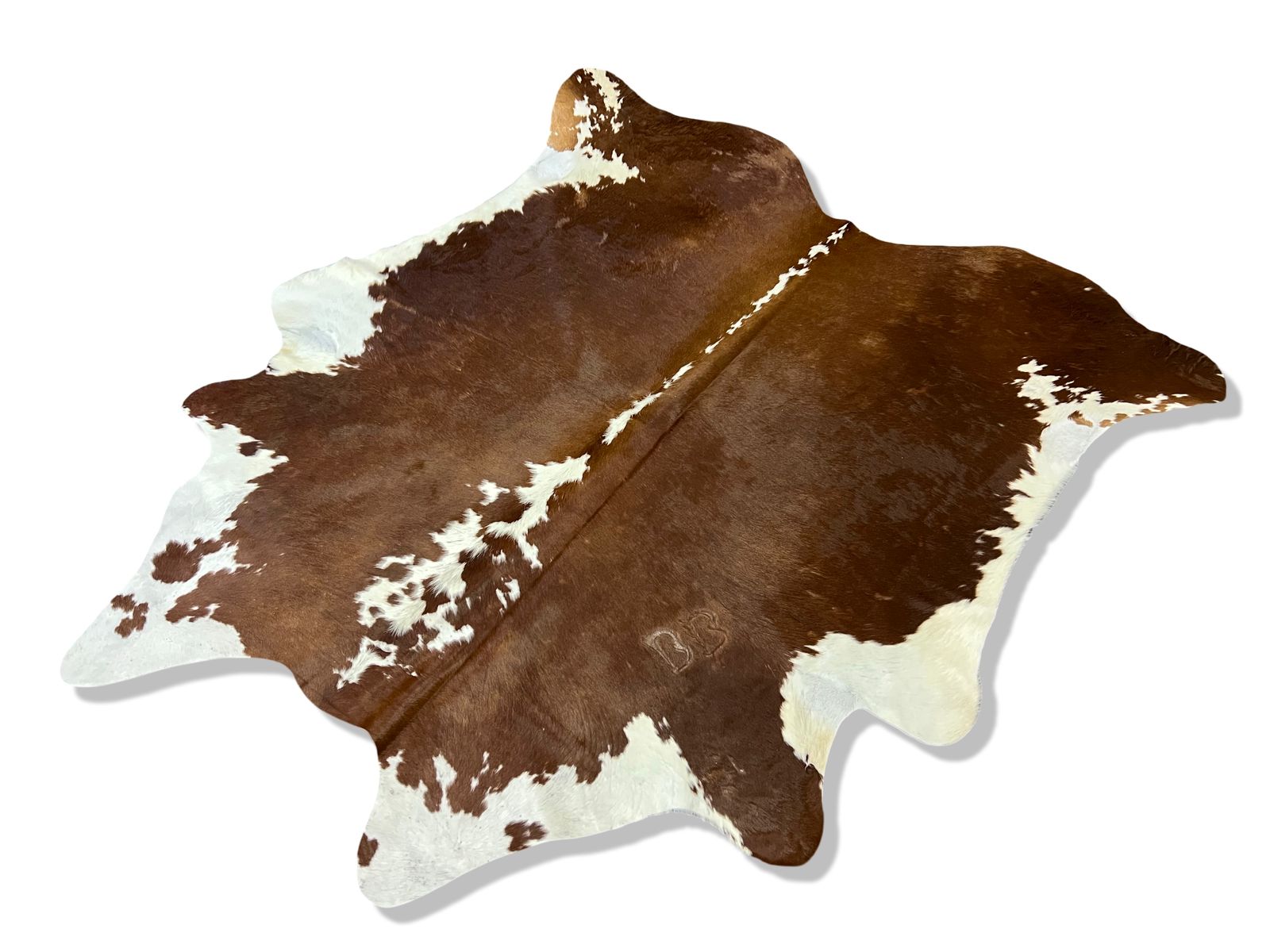 Nguni Cow Hide – Urban Nguni