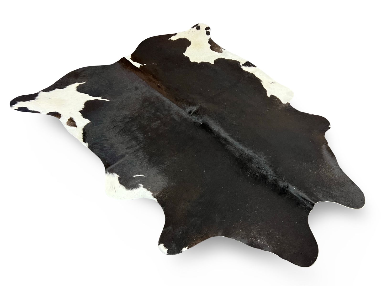 Nguni Cow Hide – Urban Nguni